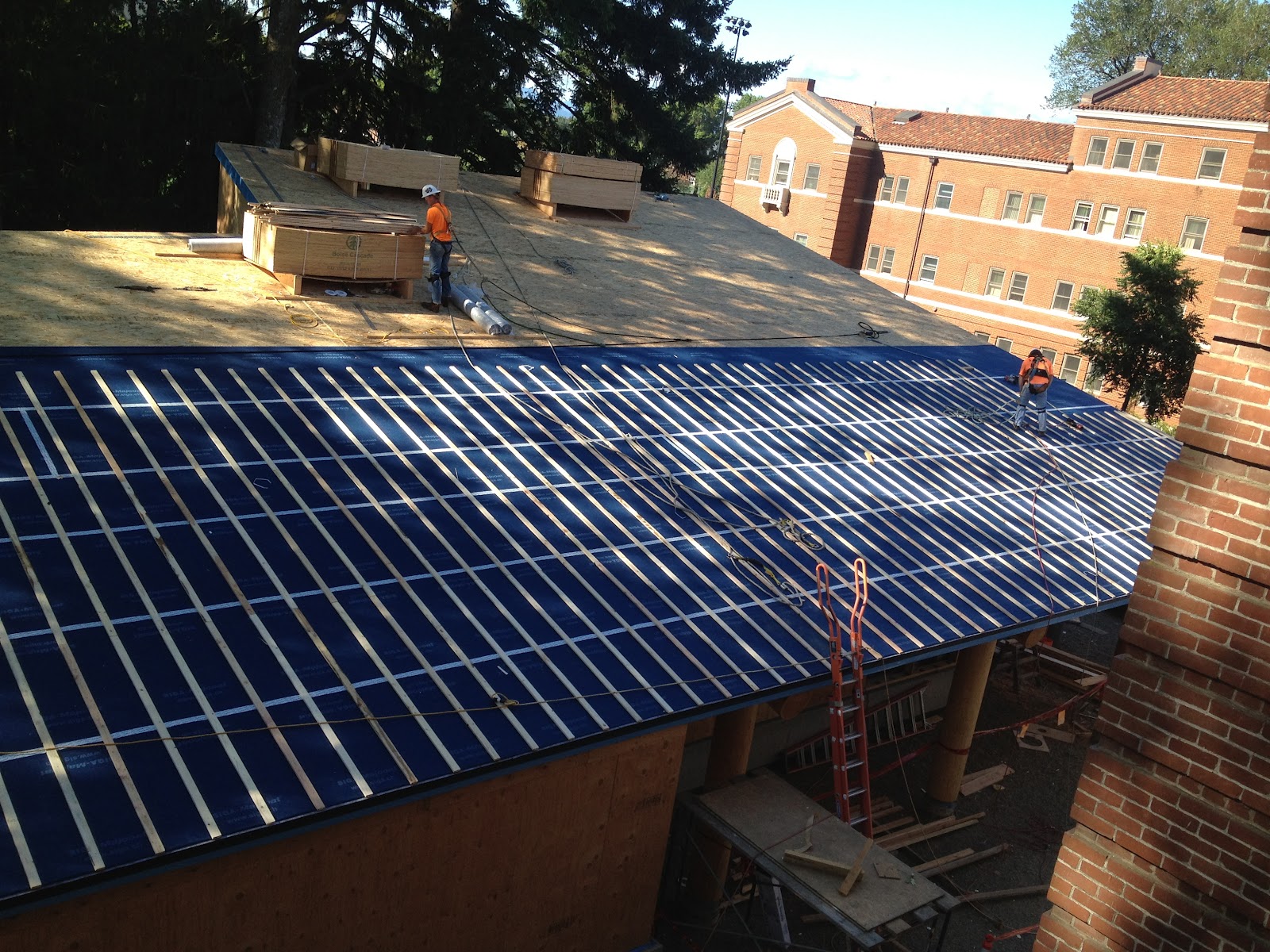 SIGA air sealing blog: SIP roof - SIGA keeps it dry