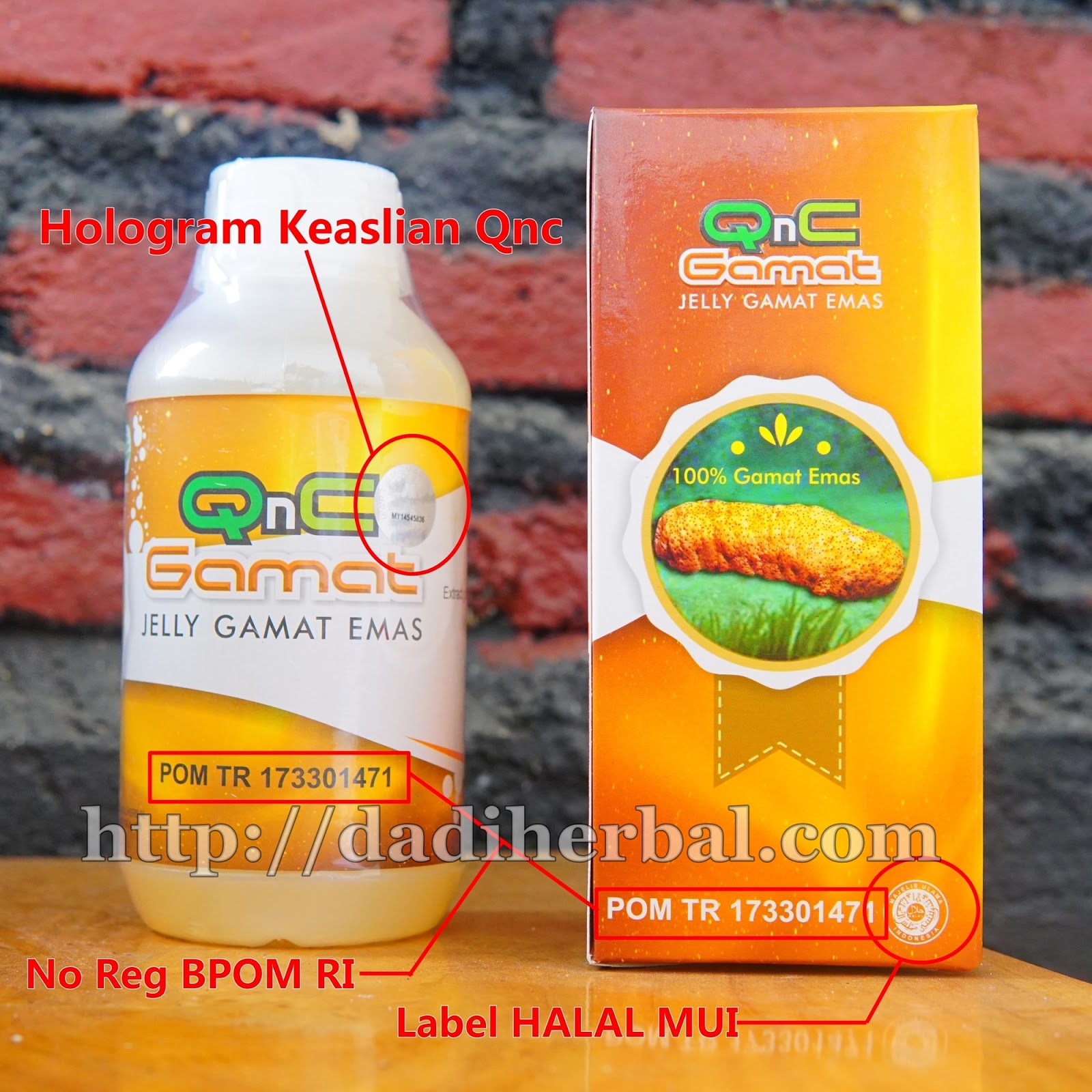 Komposisi Jelly Gamat QnC ~ Komposisi Jelly Gamat QnC