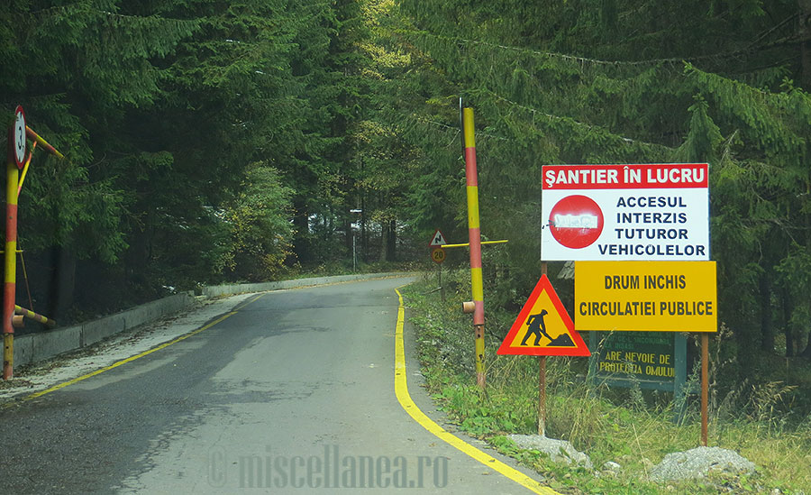 Miscellanea: Transbucegi - zăpadă și asfalt