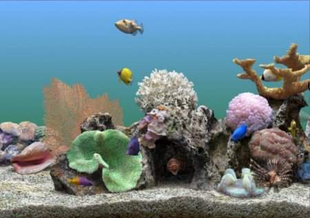 Home Service: SereneScreen Marine Aquarium v3