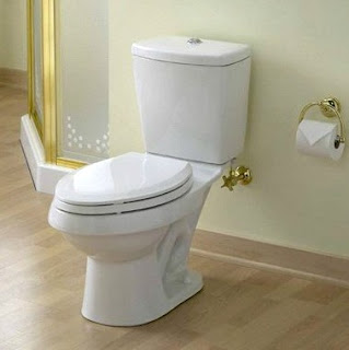 bathroom repair: Toilet plumbing fixture