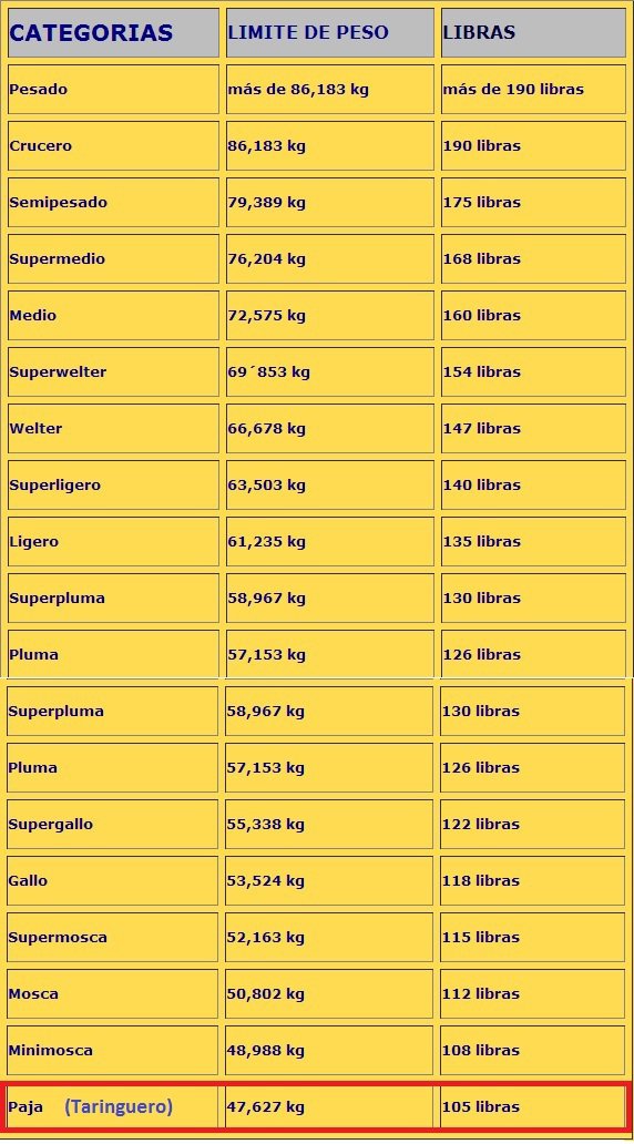 EL ENTRENAMIENTO FUNCIONAL.: 2. DEPORTE ELEGIDO: BOXEO.