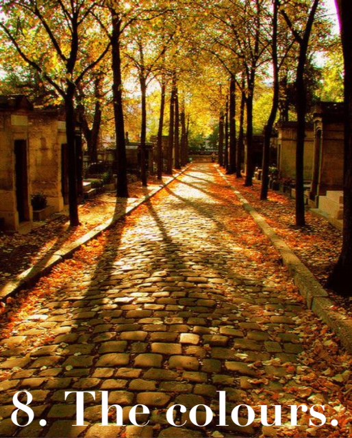 10 Reasons to love Fall | Fitzroy Boutique