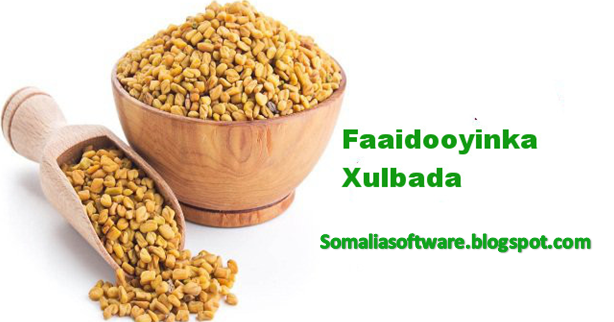 somaliasoftware: waxtarka caafimaad ee xulbada leydahay waa maxeey???