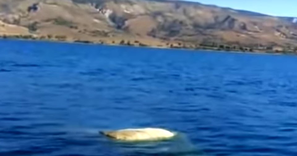The "lake Monster" of Lake Rosario: just a clump of algae (didymo ...