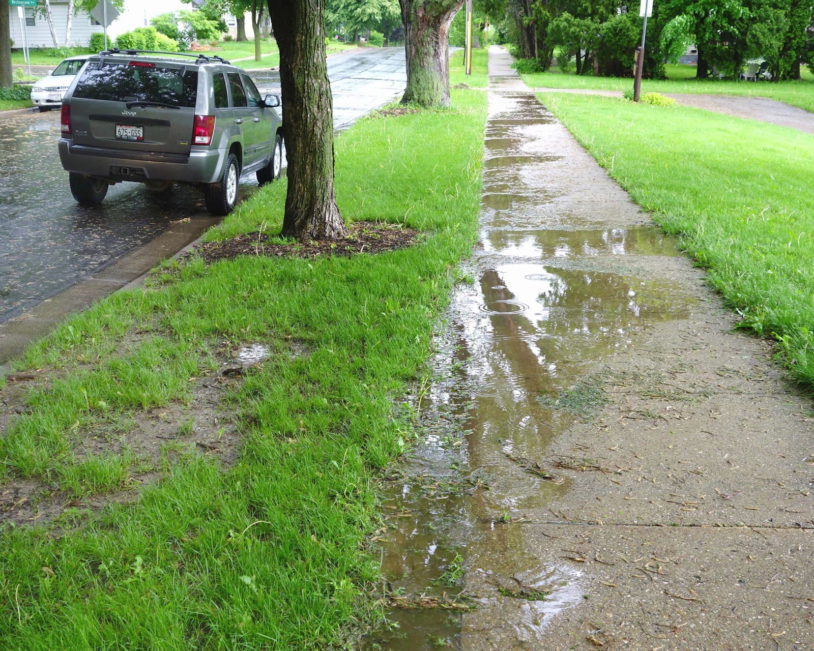 Rain Gardens in Dane County: How to build a large rain garden at a ...