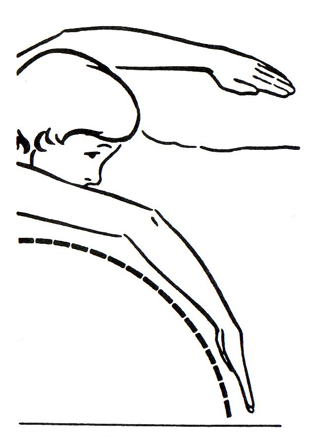 Swimming-Synergy ....: 11 / Legile mecanicii evocate la inot