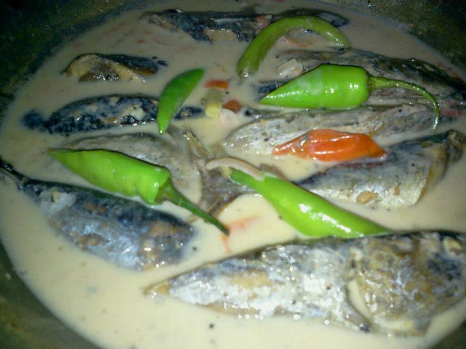 for my hungry tummy!: Ginataang Tulingan