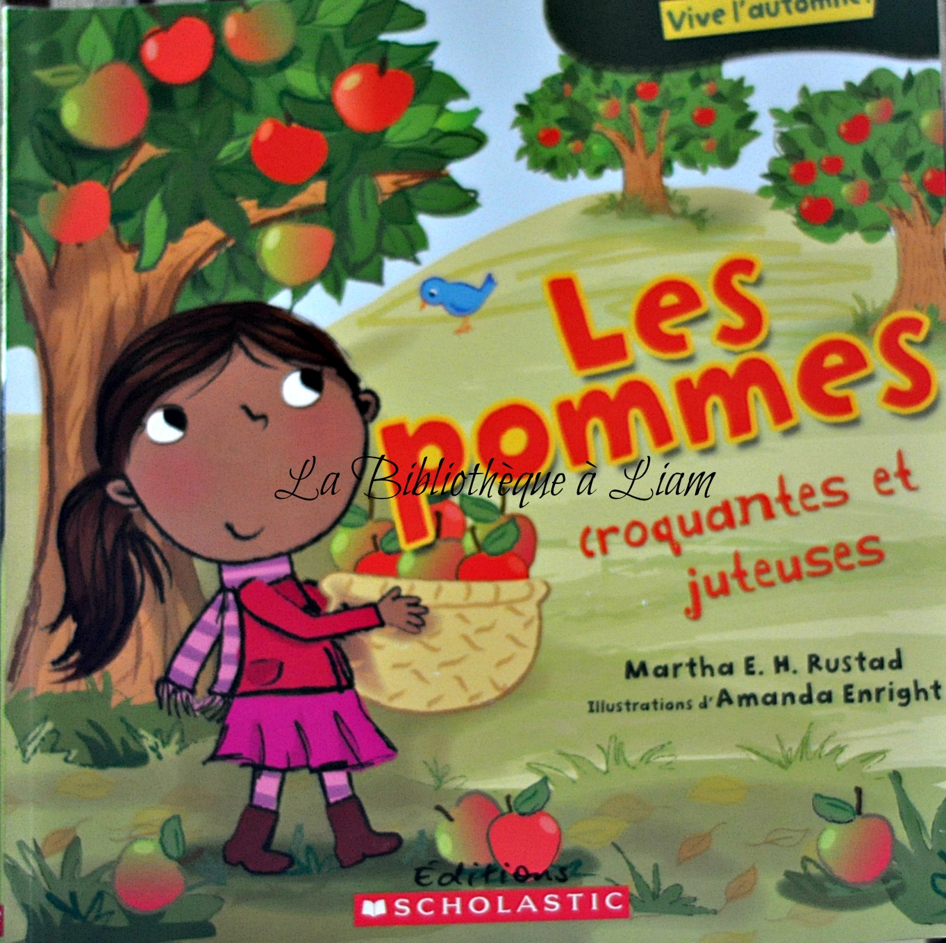 La Bibliothèque à Liam