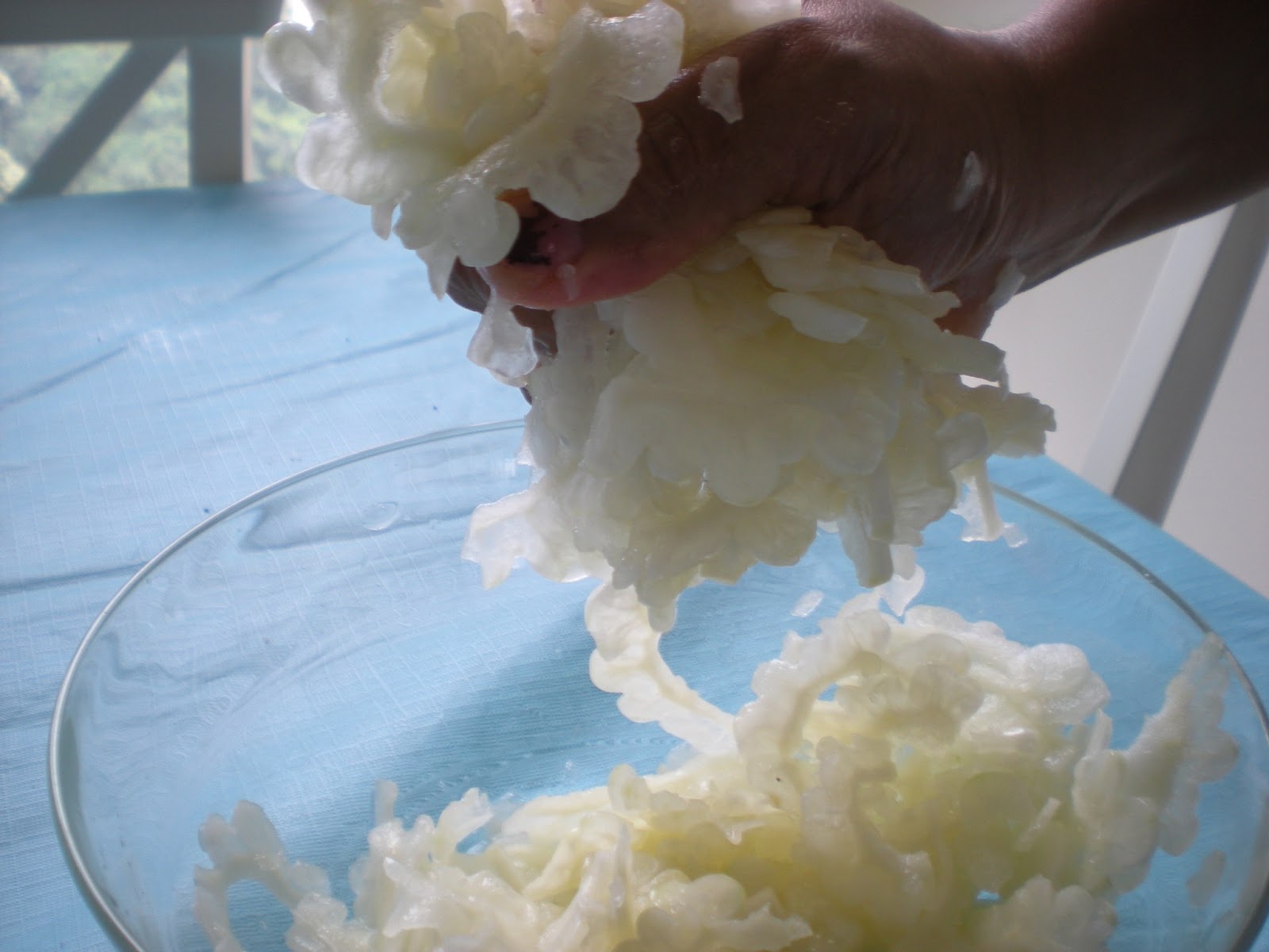 Hong Kong blog : An Englishman, his French wife + their Chow dog/1 ...