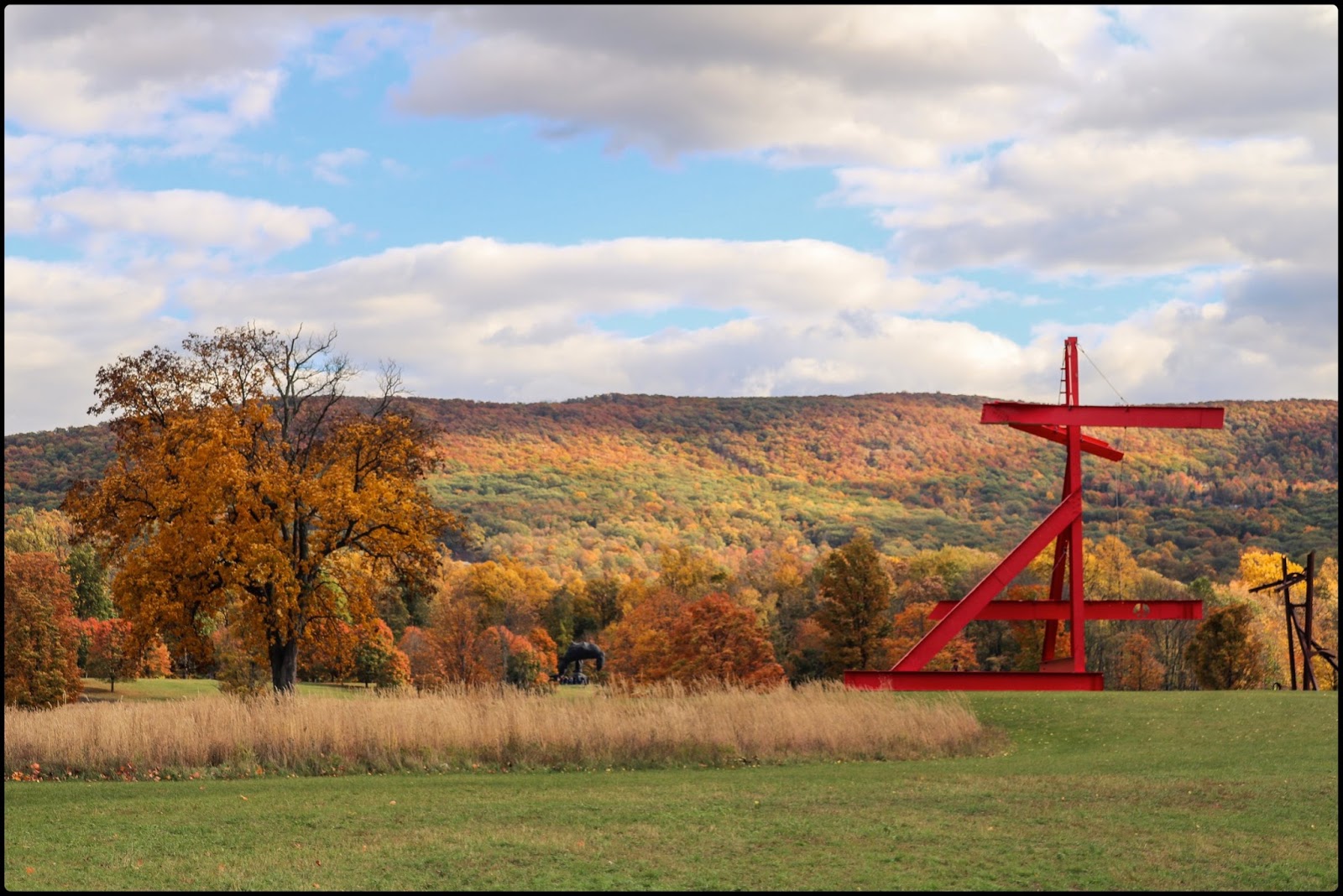 Curiosités et futilités à New York