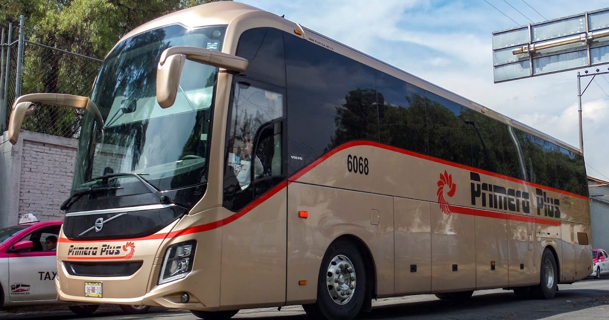 Primera Plus - Bus-México
