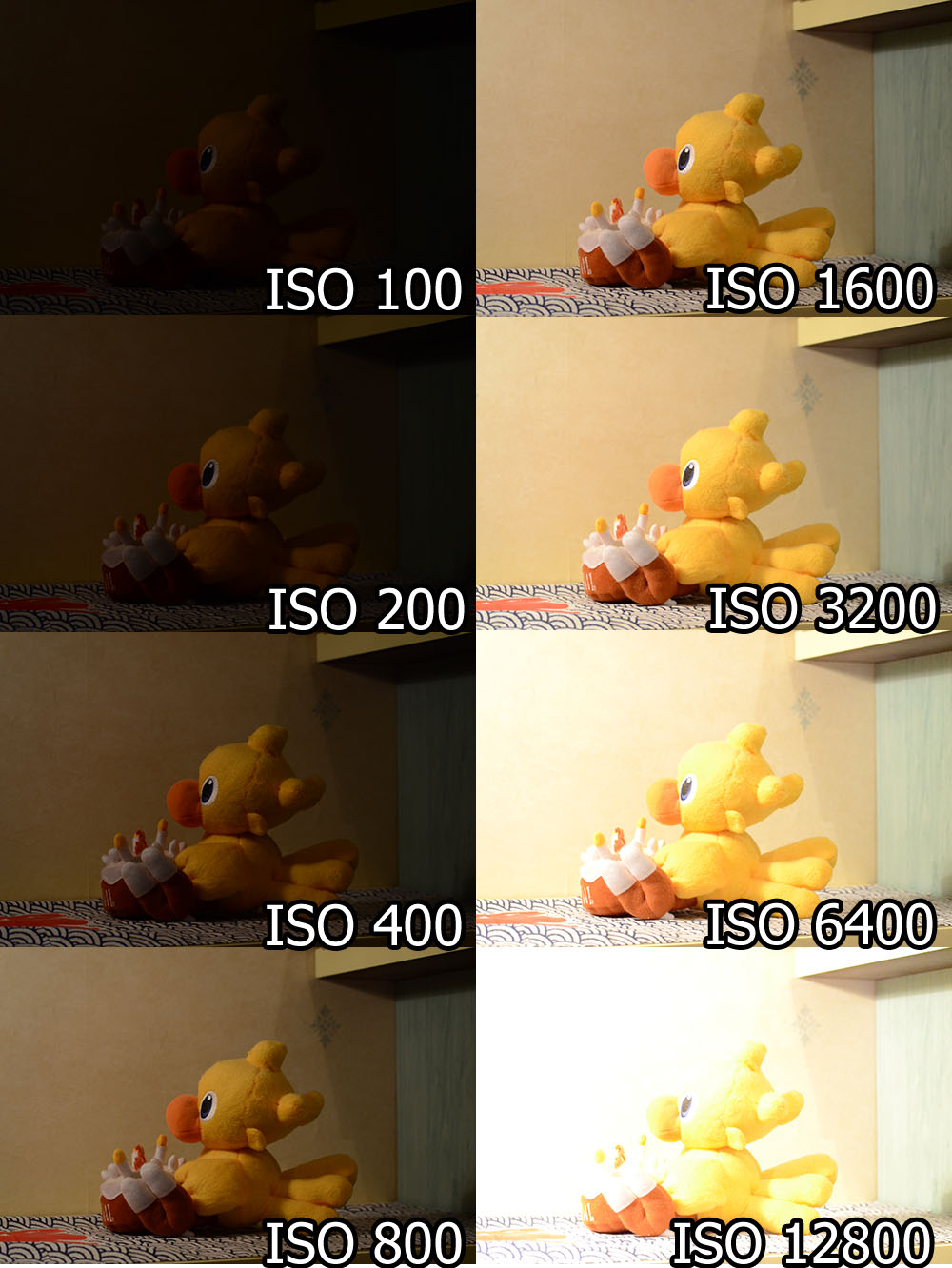 TIMBERWOLF PHOTOGRAPHY: ISO