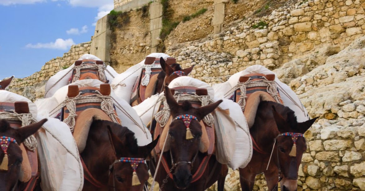 NephiCode: How Did Lehi Know Where to Go When Fleeing Jerusalem?