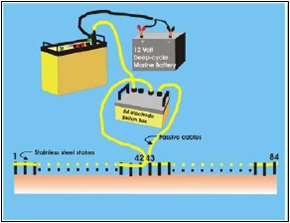 Jasa Survey: SUPERSTING R8/IP