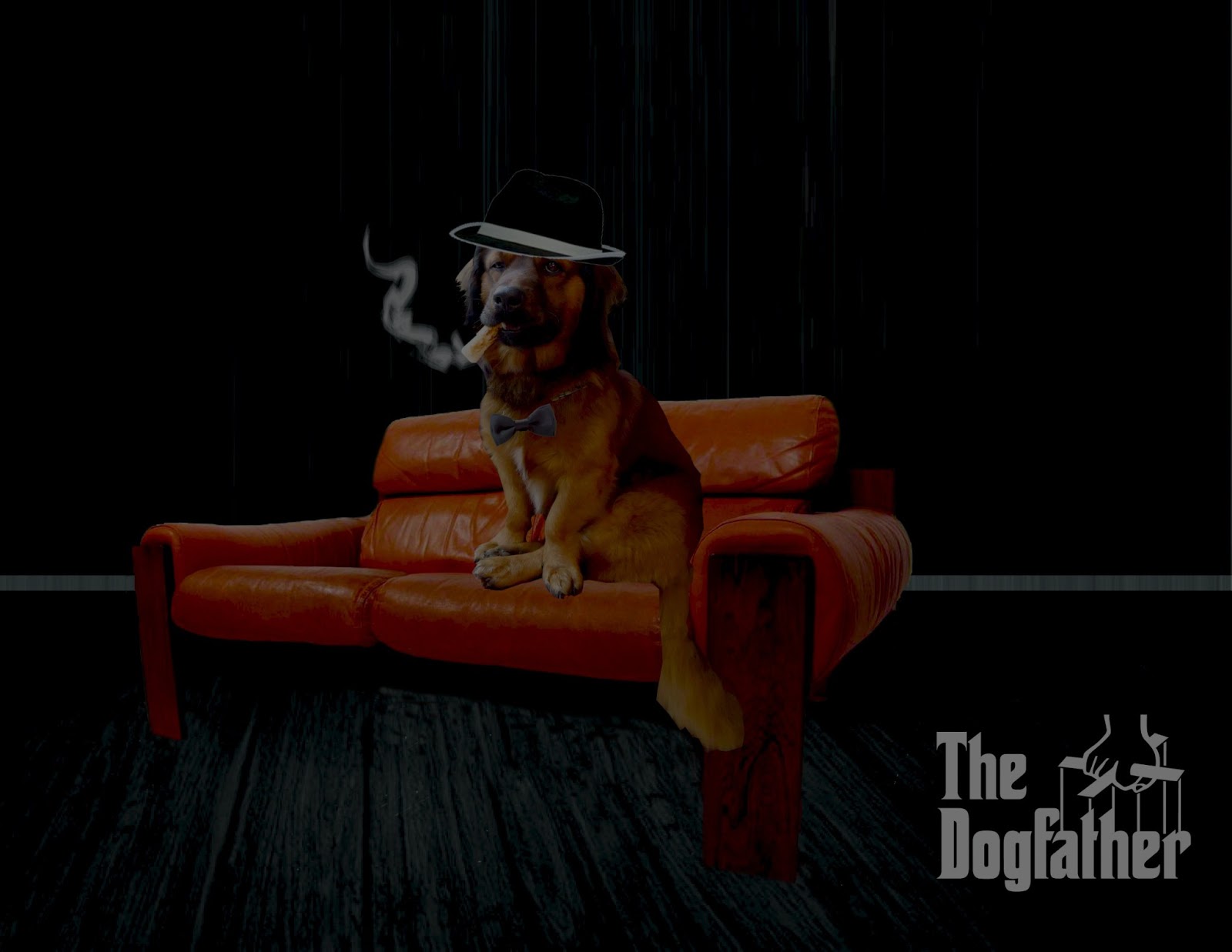 DAVID FRESNEDA: Mi Book Personal