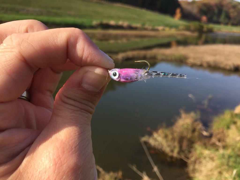 Bobcat Hollow Fly Fishing/Tying: Squirt: New Micro Streamer