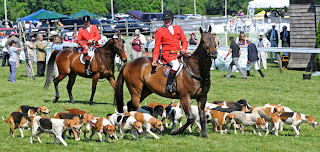 Tom Kelly IV - Recent Works: The 2012 Radnor Hunt Races