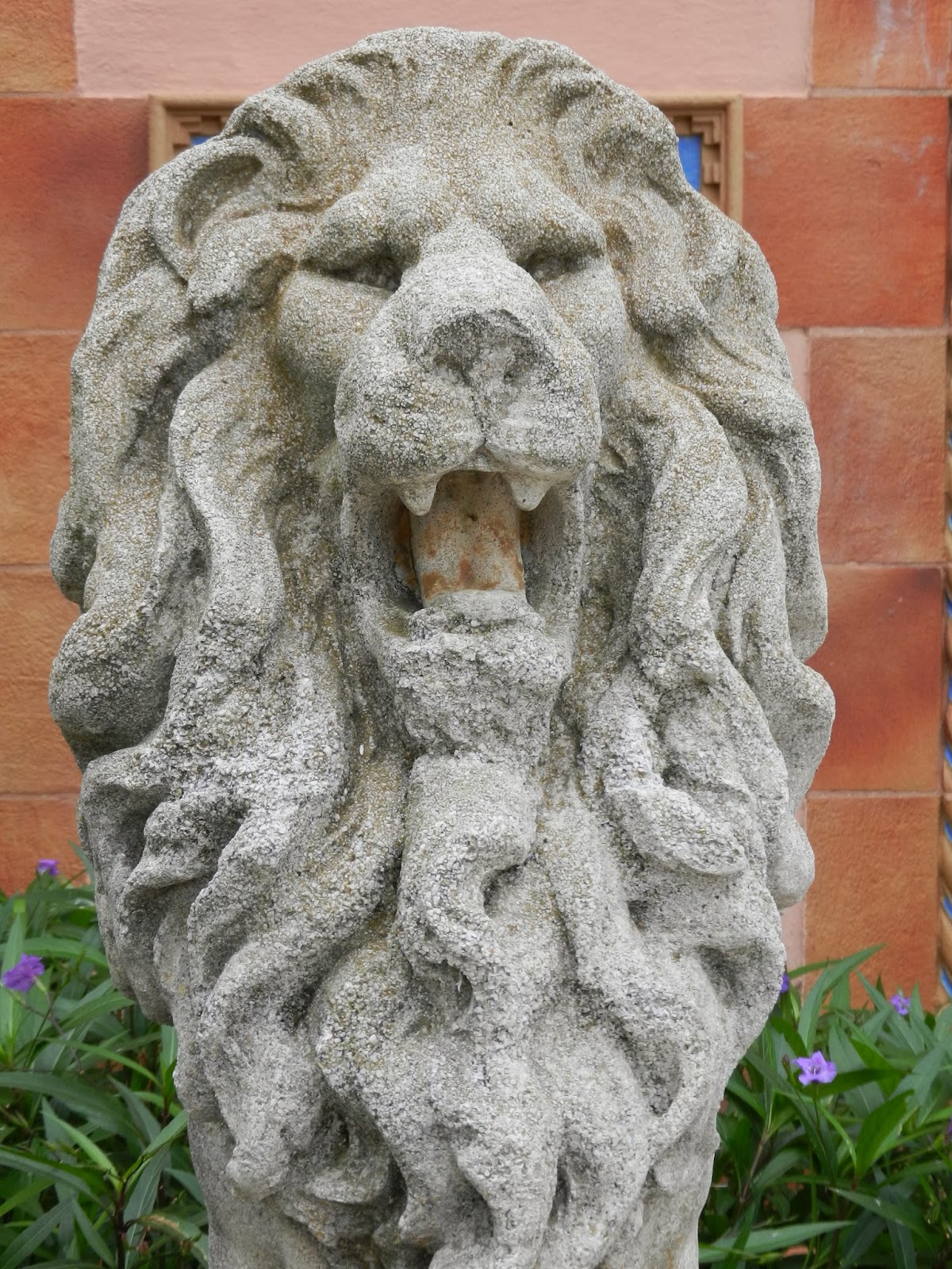 Beluga's excellent adventure: Ca d'zan