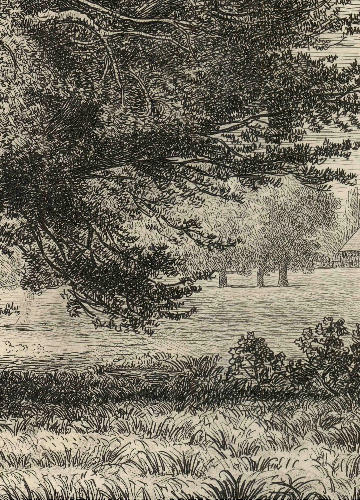 Prints and Principles: Trees as Metaphors (Part 3)