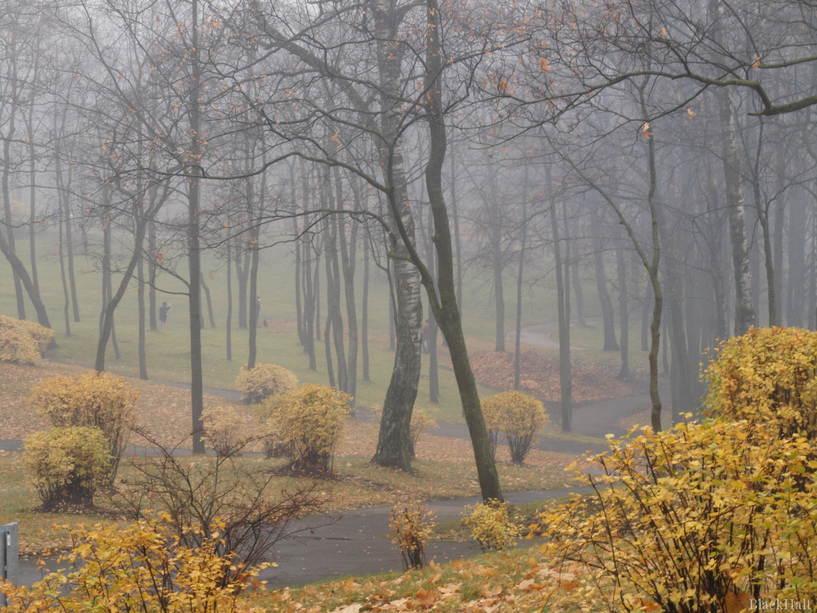 Rudens 5 - PhotoBlogSite