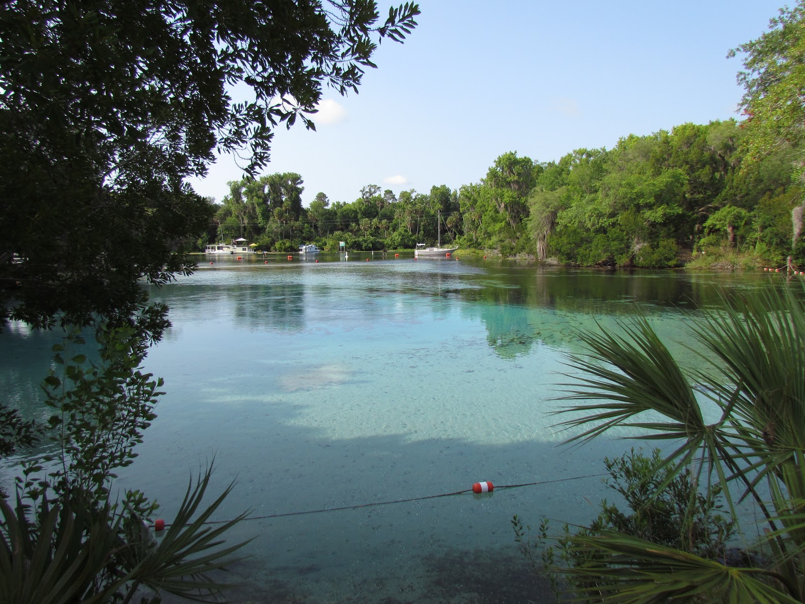 WildWildernessWalkers: Silver Glenn Springs