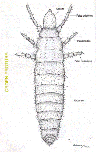 agroactivo - El mas moderno sitio de consulta técnica y comercial para ...