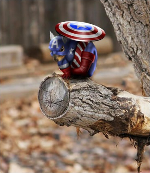 Super Squirrel Hero | Great Fun Stuffs