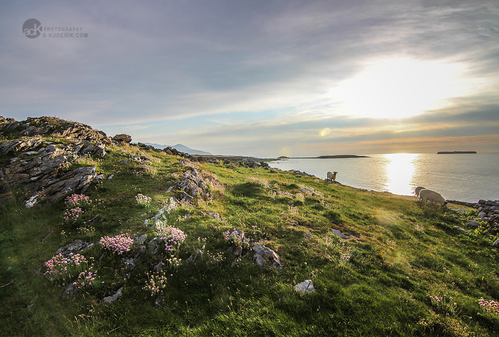 Scenic Landscapes of Fahamore Castlegregory, Co. Kerry, Ireland - Part ...