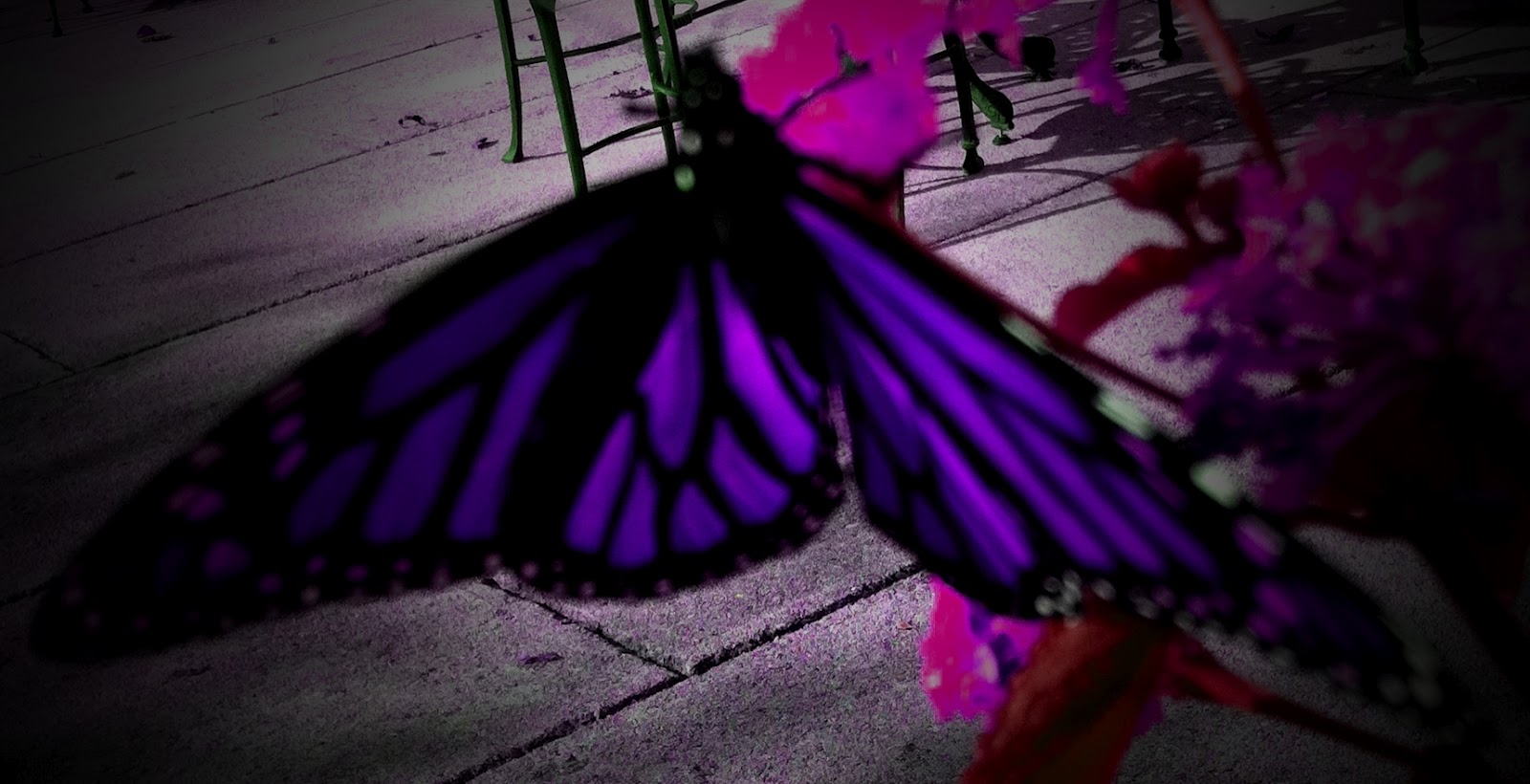 HEALING HEARTACHES, STORIES OF LOSS AND LIFE: HAPPY BIRTHDAY ELISABETH ...