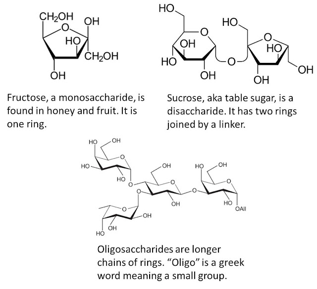 Tried It: ISOThrive Prebiotics