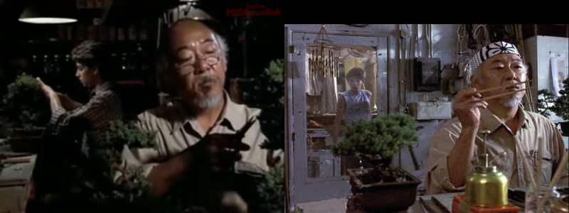 ECAMI: Bonsai (Árvores em bandeja)