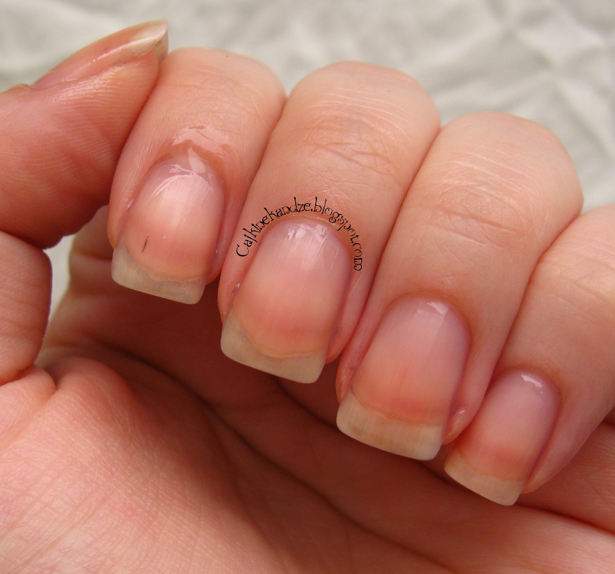 Trind Perfect Cuticle & Nail set | Cajkine kandže i sve njihove boje