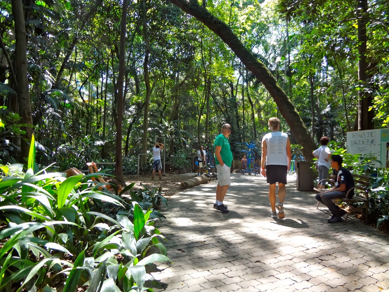 Parque Trianon ou Tenente Siqueira Campos em São Paulo ~ Áreas Verdes ...