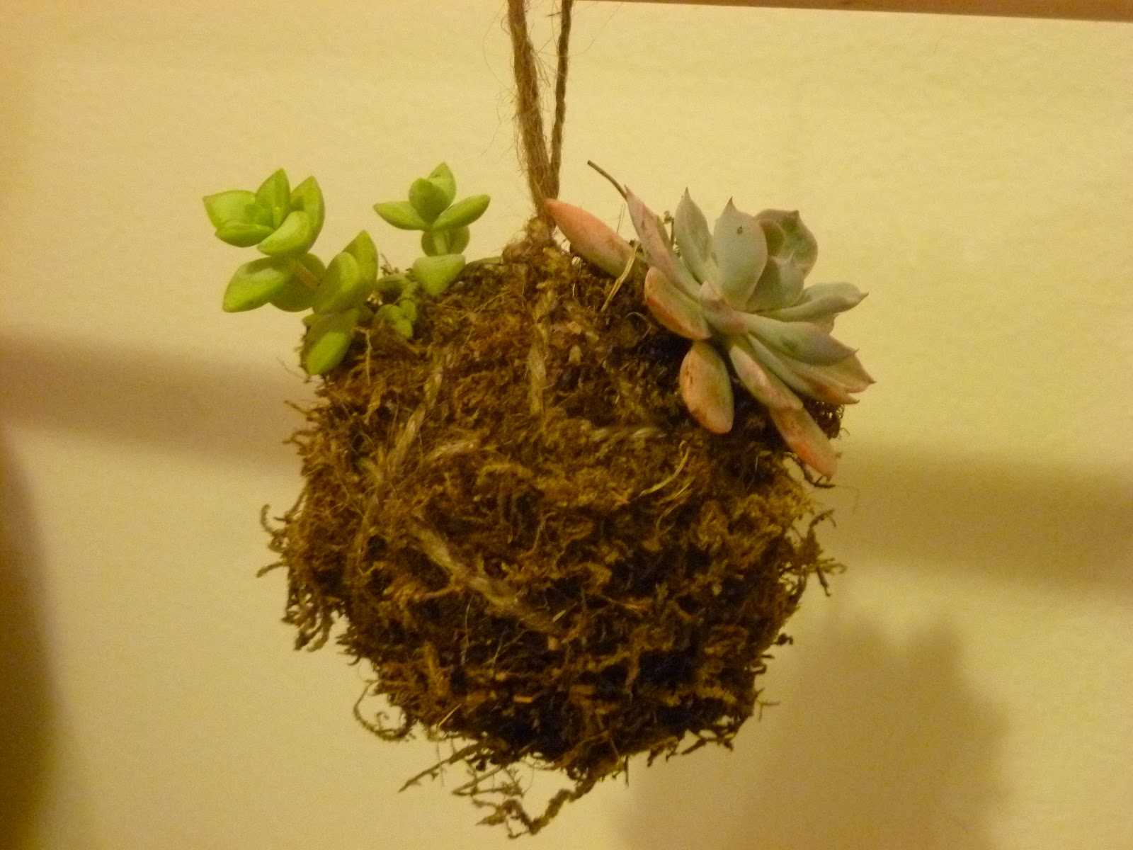 My Next Mess: Kokedame (Japanese String Garden)