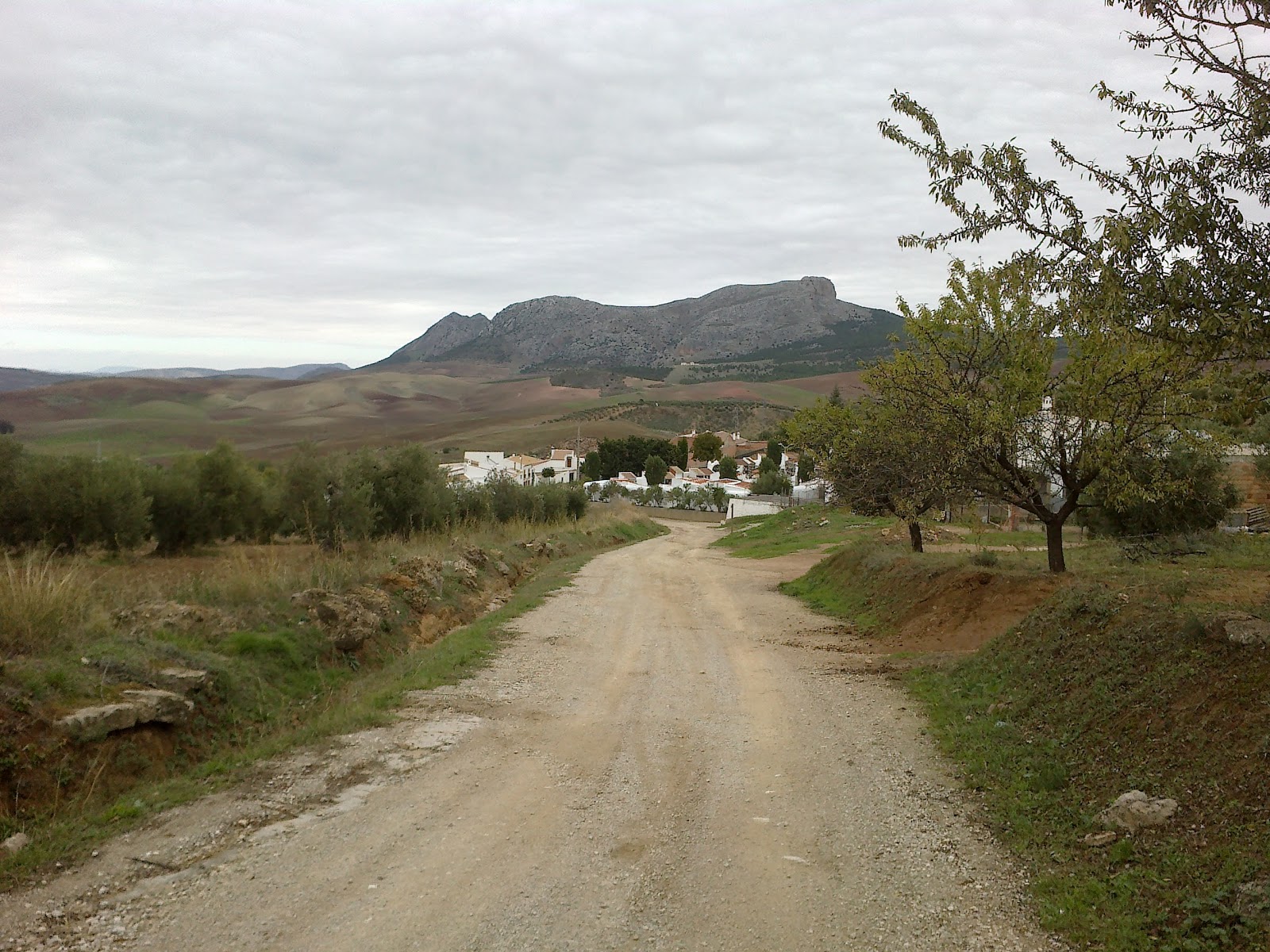 Rutas por Serrato en MTB: Salida a ronda pasando por cuevas del becerro ...