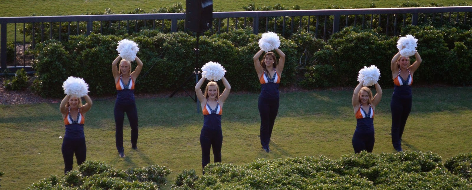 Tiger Paws Dance Team