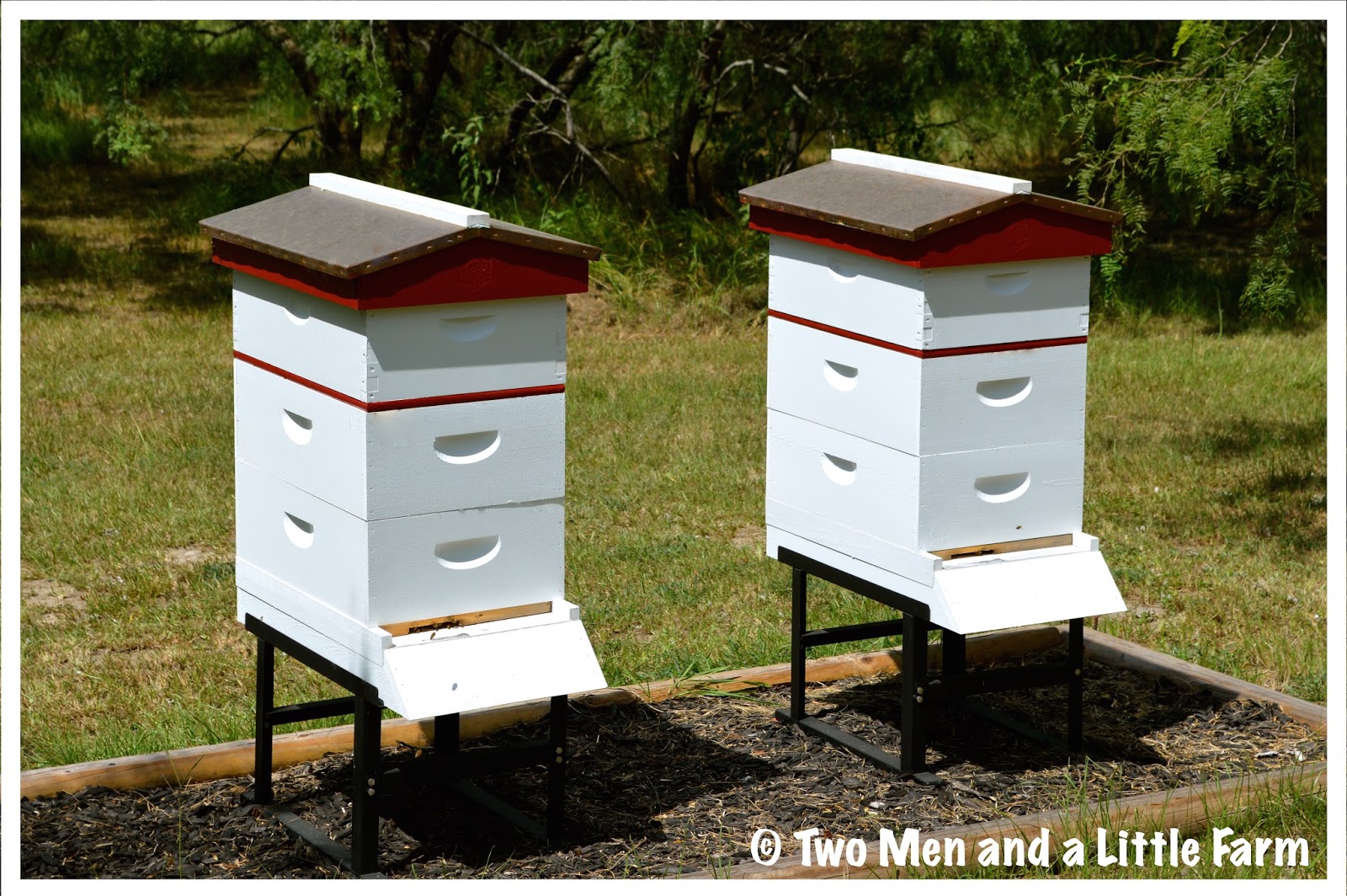 English garden beehive plans