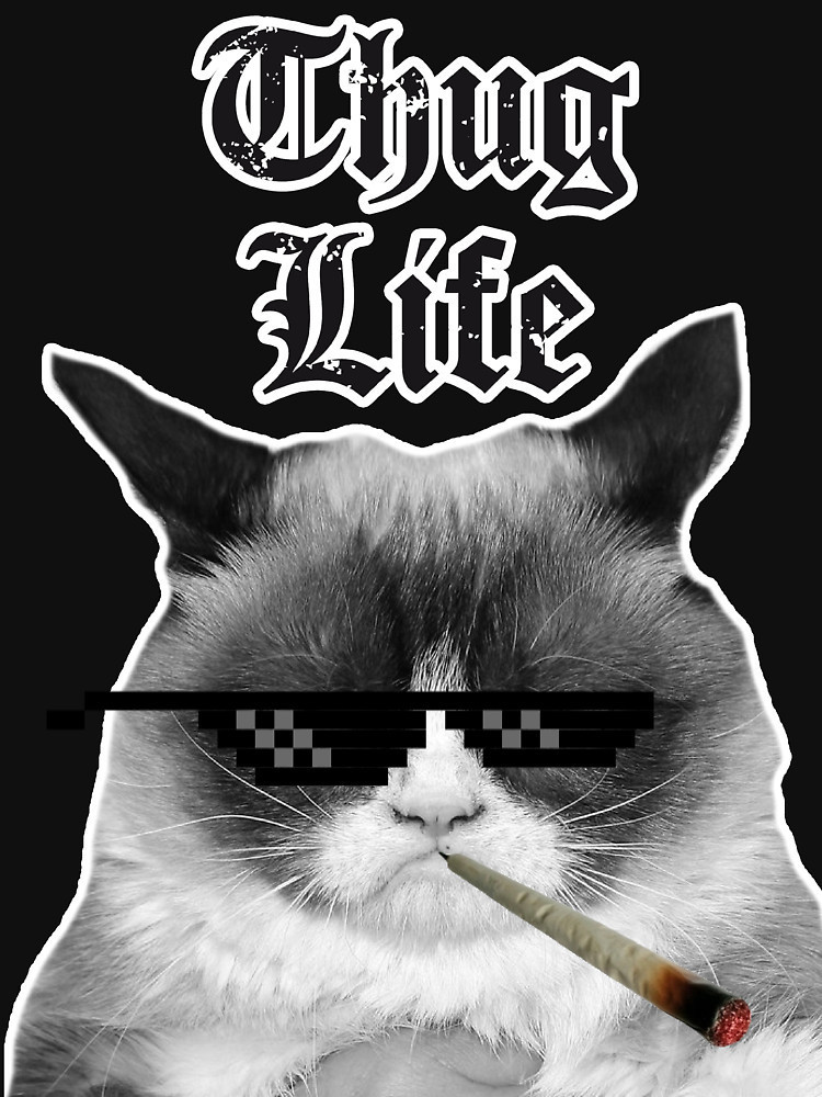 LAGU ATAU BACKSOUND THUG LIFE YANG PALING POPULER SekilasINFO lagu-atau-backsound-thug-life-yang-paling-populer-sekilasinfo