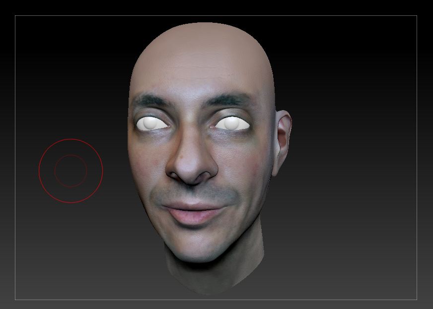 Stefano Bolli: My 3D brother