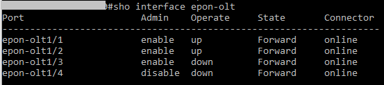 Raisecom OLT trouble shooting, describe with the show command...