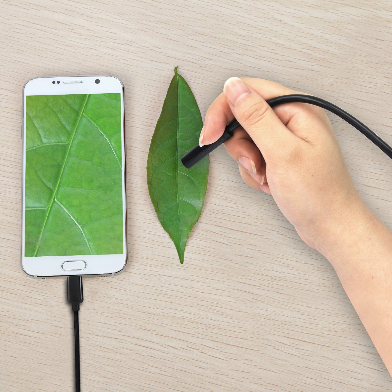 Camera for Laptops and USB OTG Compatible Android Smartphones - 16.4 ft ...