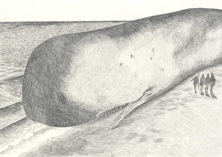 tim smart - illustrator