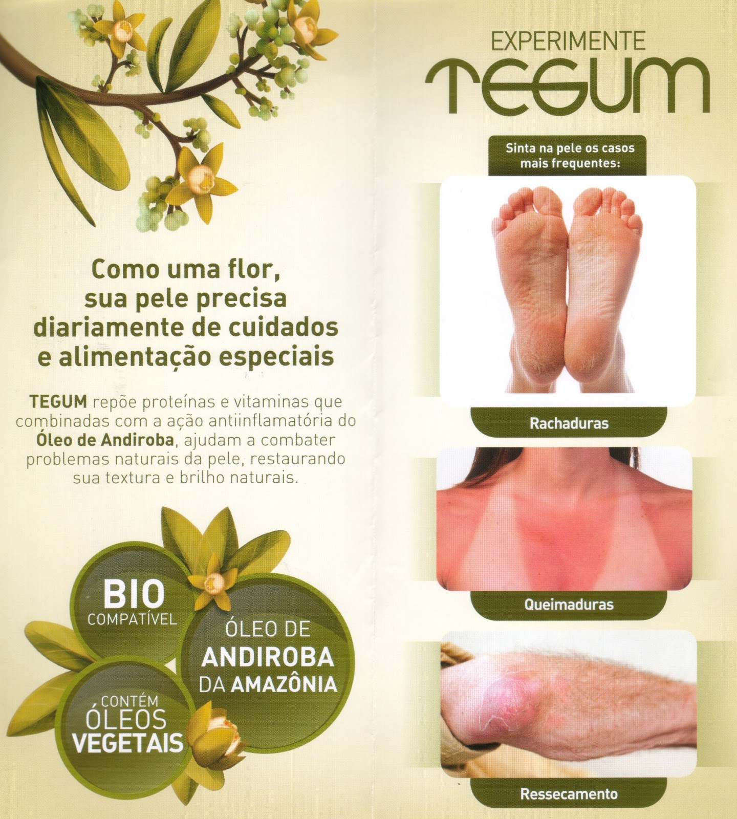 Blog Vanessa Sial : Testei amostra Tegum Emulsão com Óleo de Andiroba