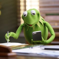 THE GRANDMA'S LOGBOOK ---: KERMIT THE FROG DEBUTS ON TV SHOW 'SAM ...