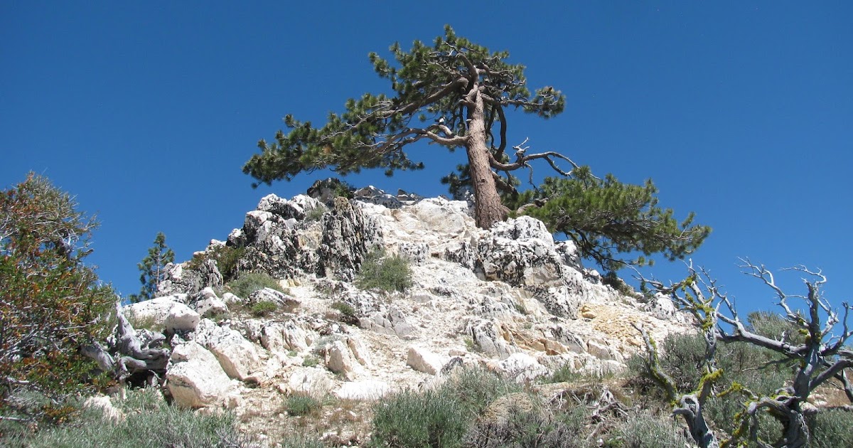 Weekend Wanderluster: Crystal Peak 4x4 Adventure (Lassen County ...