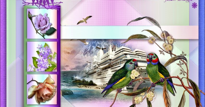 PSP Design: Bird - My version