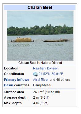 Natore District: Chalan Beel In Natore District