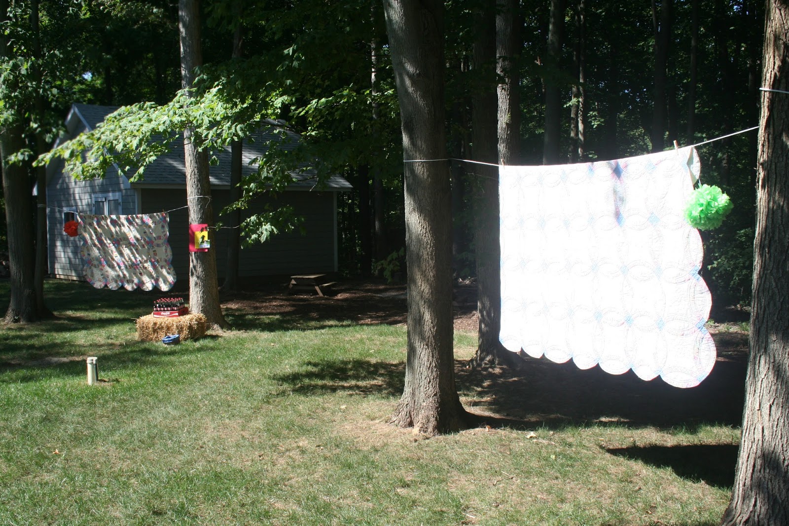 This is the Day!: Sawyer's County Fair Decorations