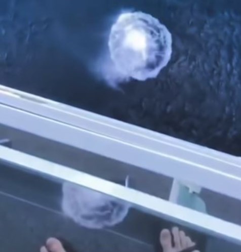 Francisco Moreira: janeiro 2019